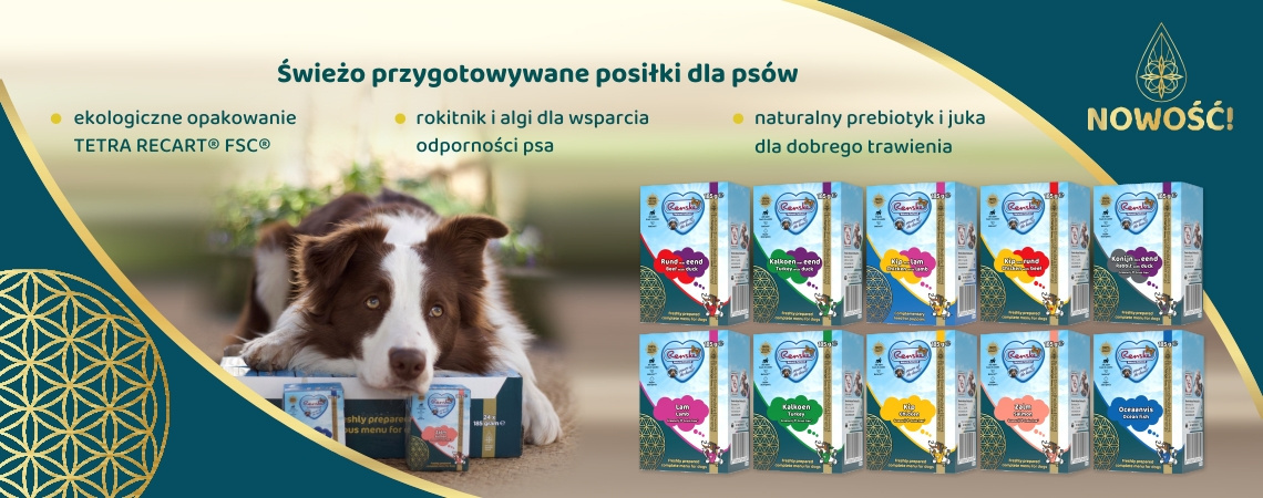 Sklep zoologiczny - najlepsze karmy dla psów i kotów